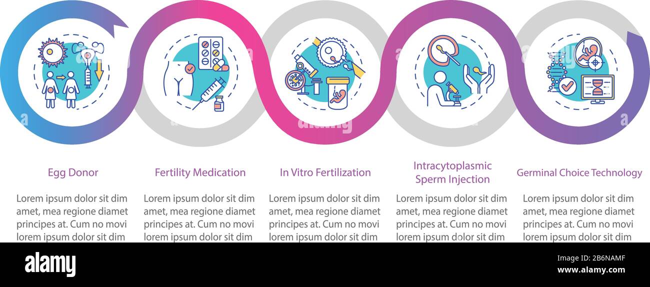 Reproductive technology vector infographic template. In vitro ...