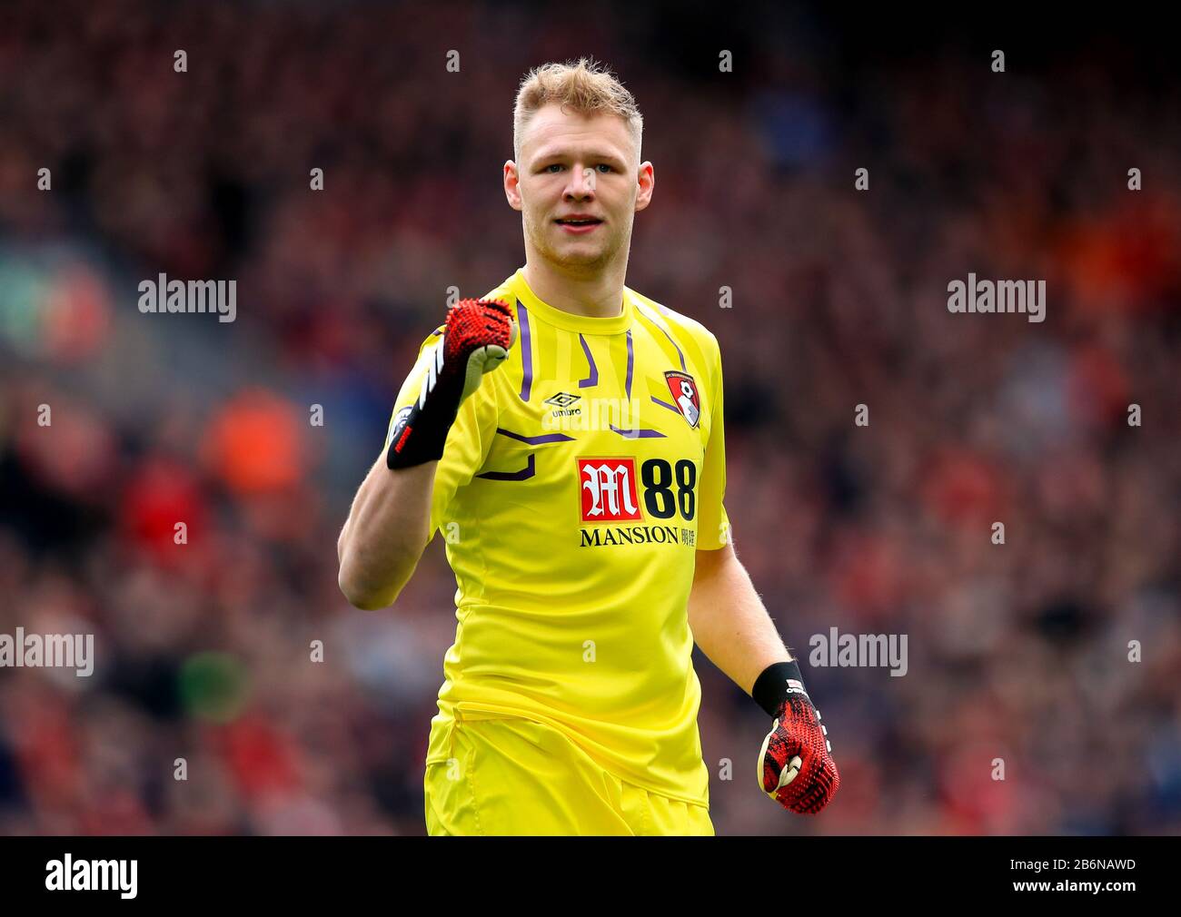 Bournemouth goalkeeper Aaron Ramsdale Stock Photo - Alamy Bournemouth goalkeeper Aaron Ramsdale Stock Photo - Alamy