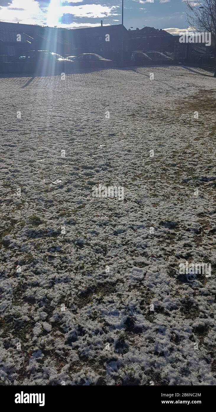grass with snow on thaw Stock Photo - Alamy