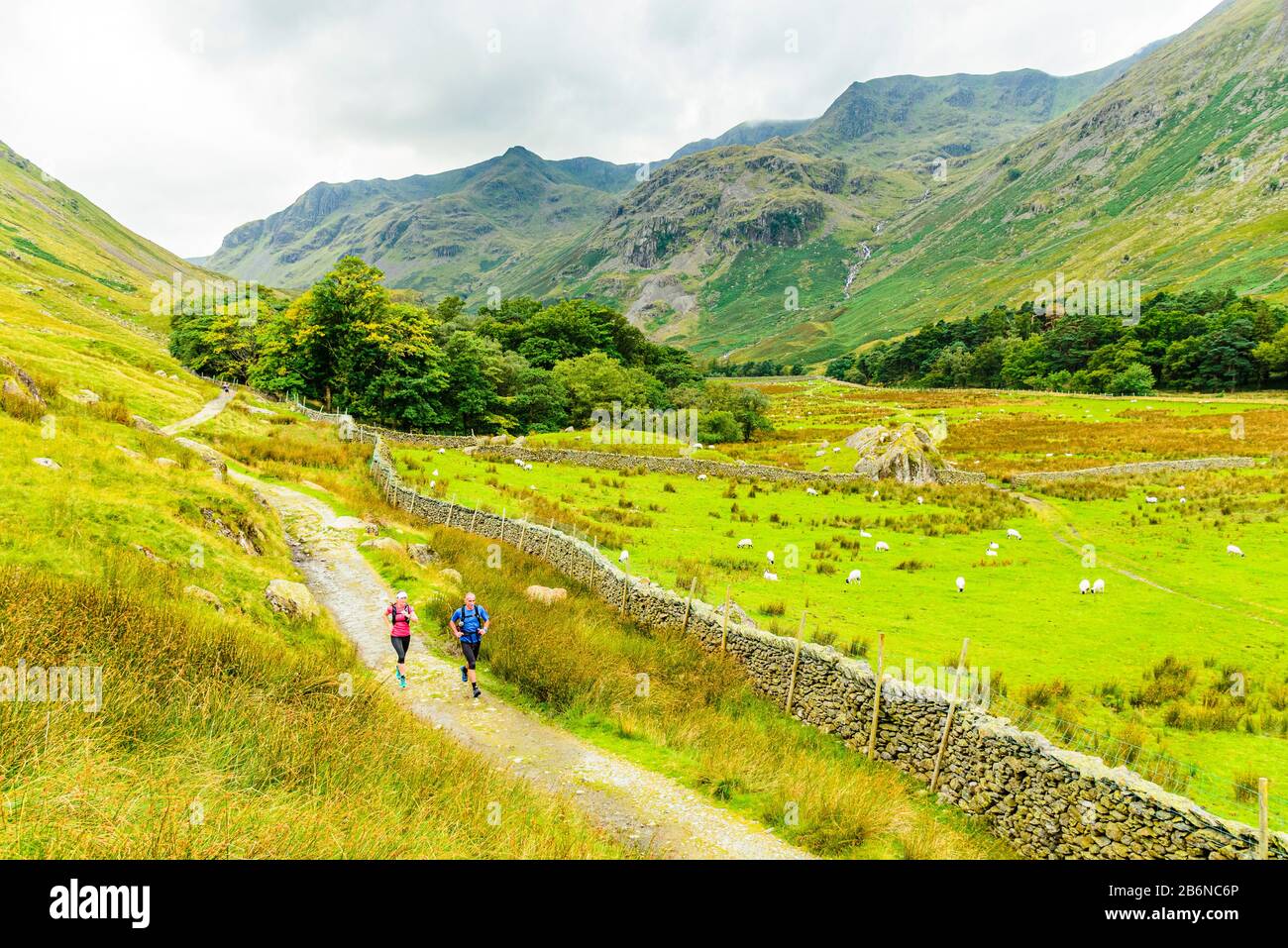 Fell running in the lake district hi-res stock photography and images ...