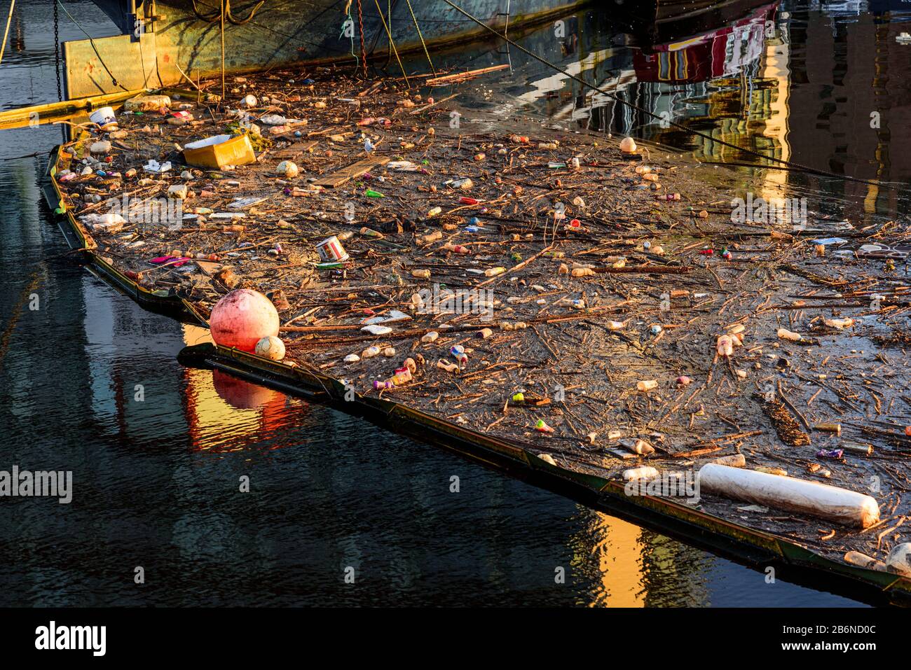 Floating litter, Salford Quays Stock Photo - Alamy