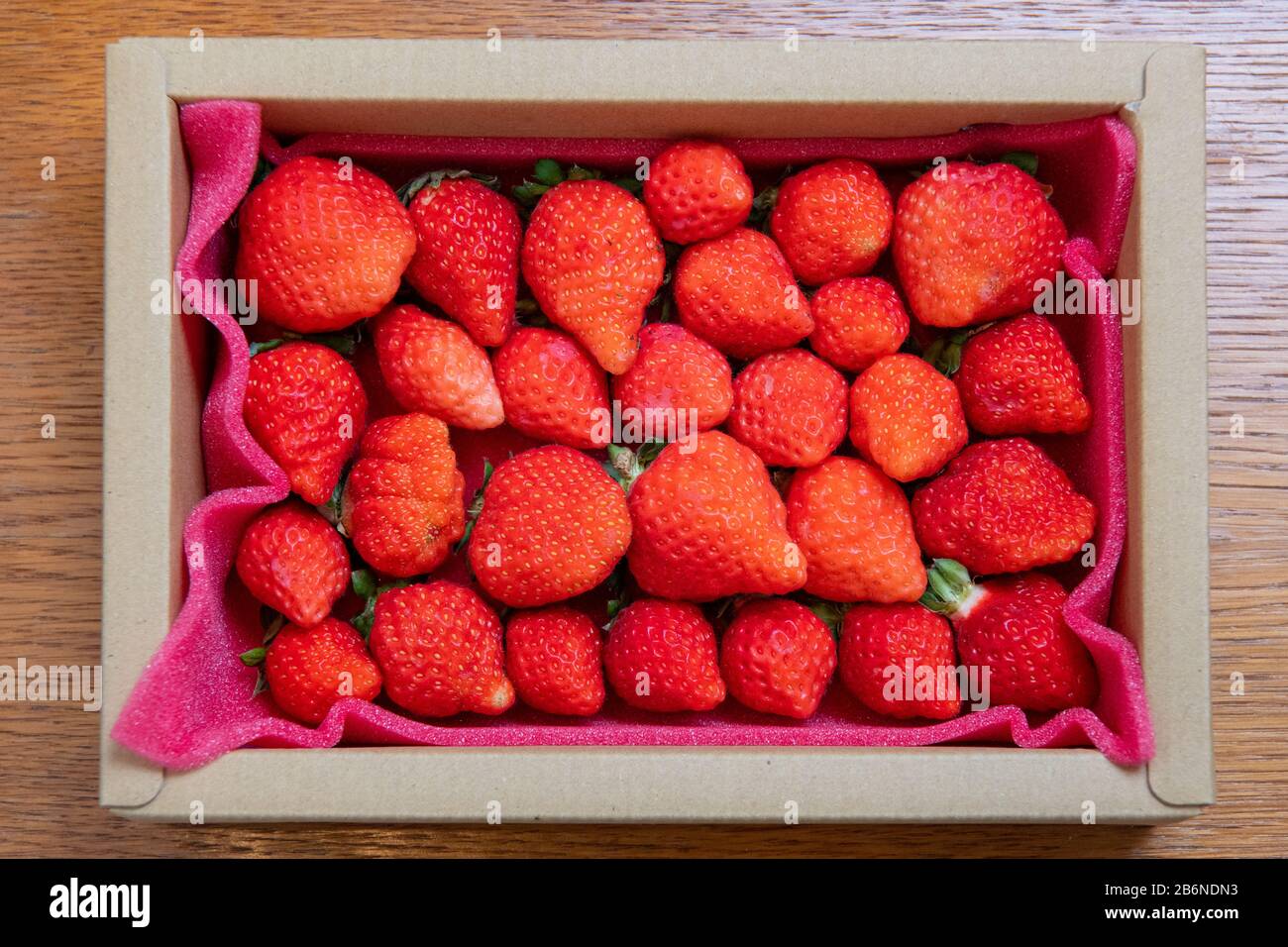 Fresh strawberries are neatly arranged and packed in cartons Stock ...
