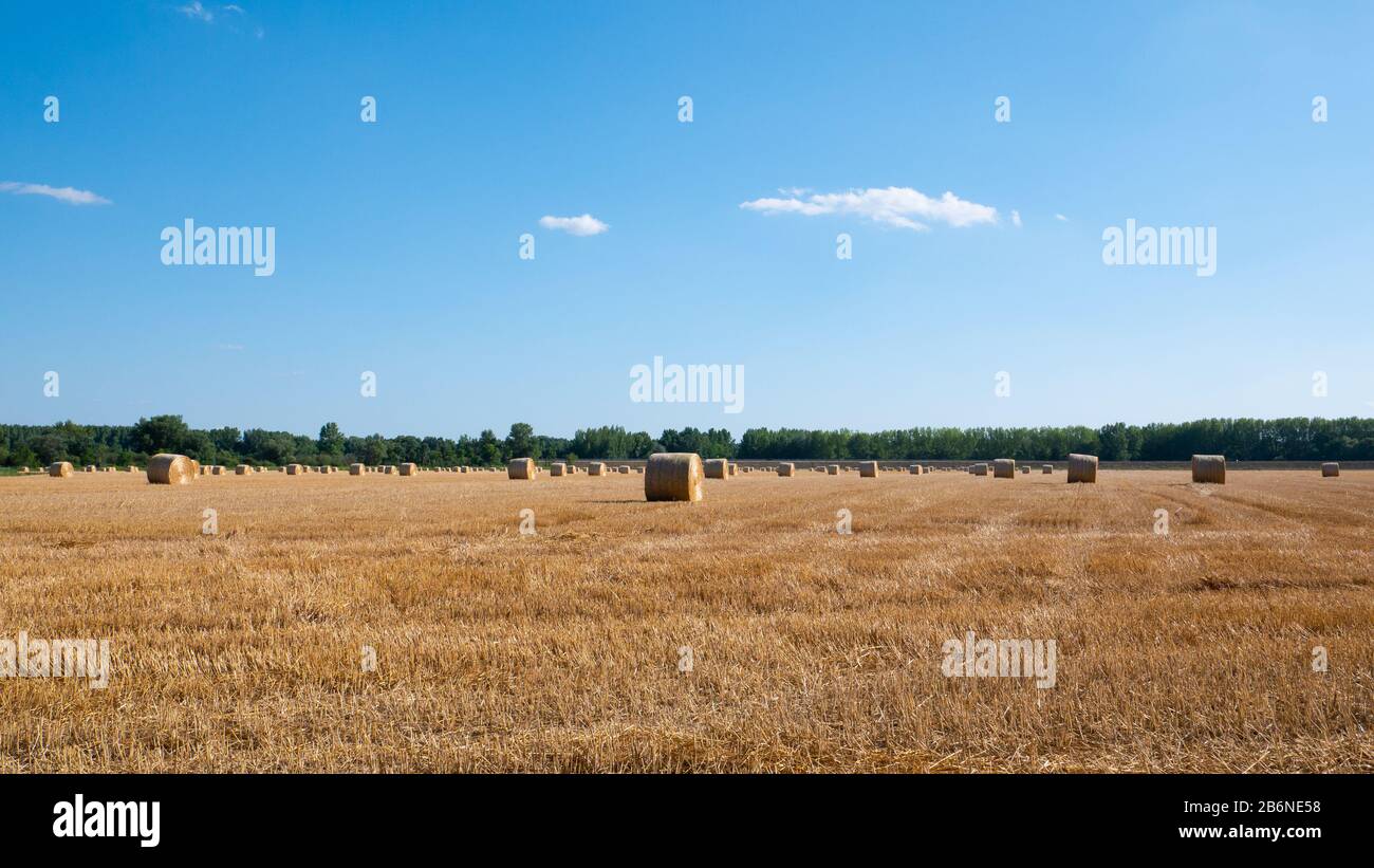 Rolled crop stacks hi-res stock photography and images - Alamy