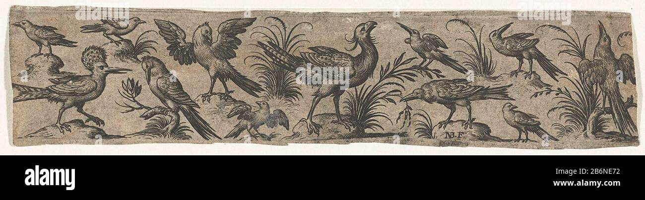 Fries met twaalf vogels, waaronder een hop Friezen met vogels ...