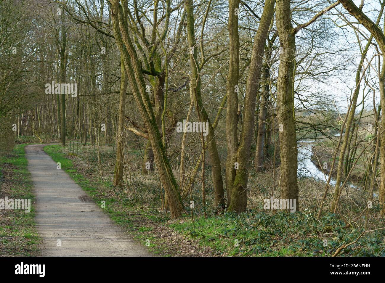 river in germany Stock Photo - Alamy
