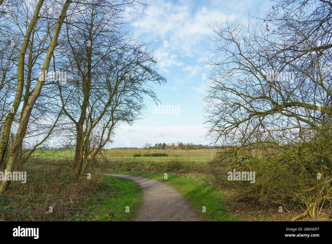 spring at the river Stock Photo - Alamy