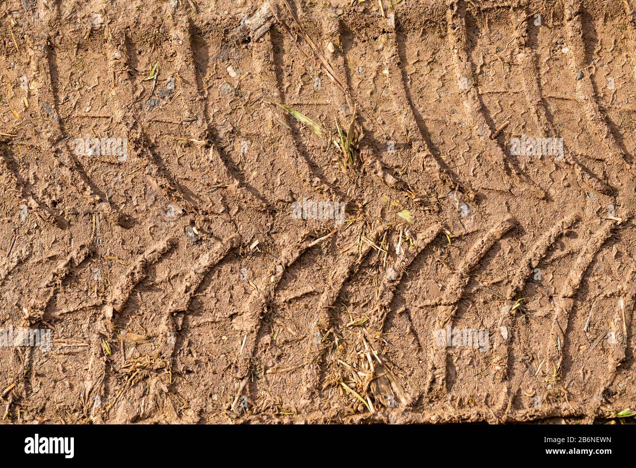 texture of car tire trail in mud Stock Photo - Alamy