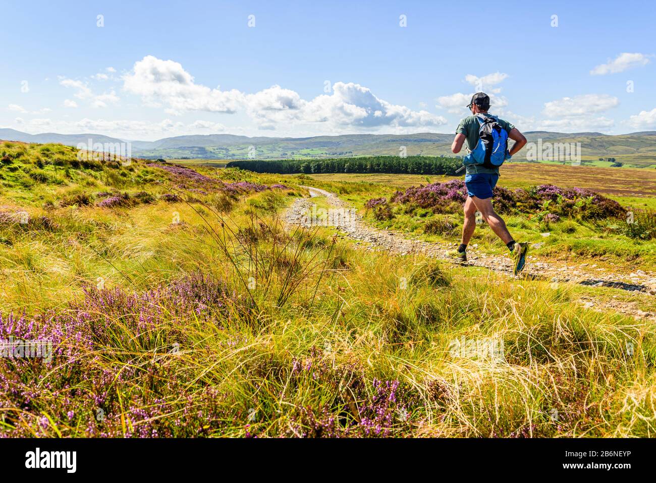 Fell runner on Crosby Ravensworth Fell in the Yorkshire Dales Stock ...