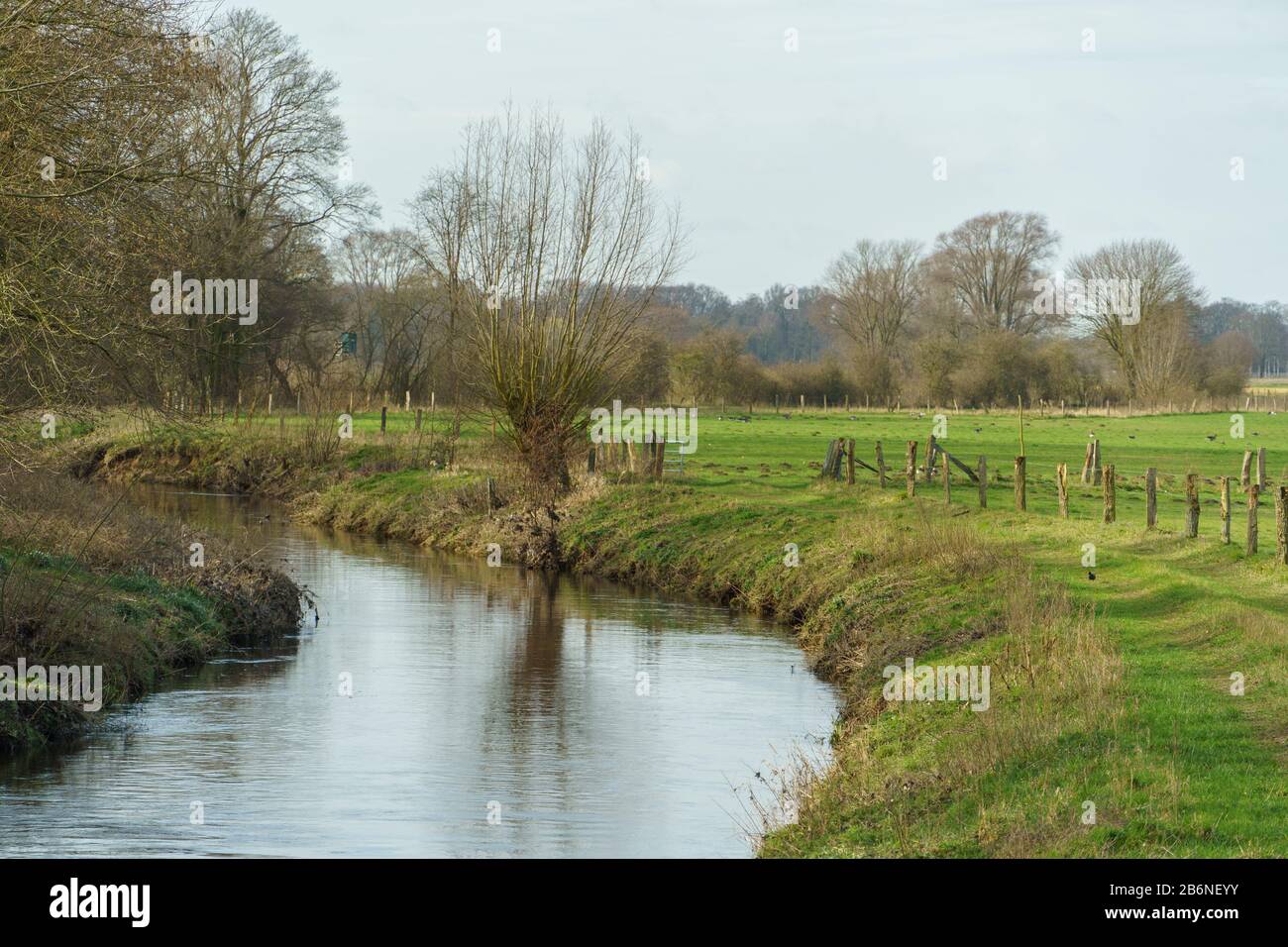 spring at the river Stock Photo - Alamy
