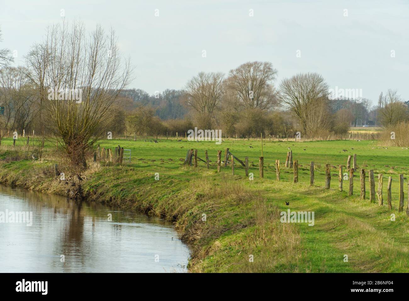 spring at the river Stock Photo - Alamy