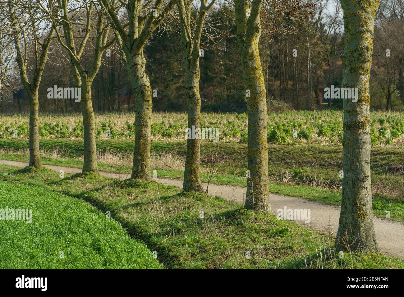 fence at the river Stock Photo - Alamy