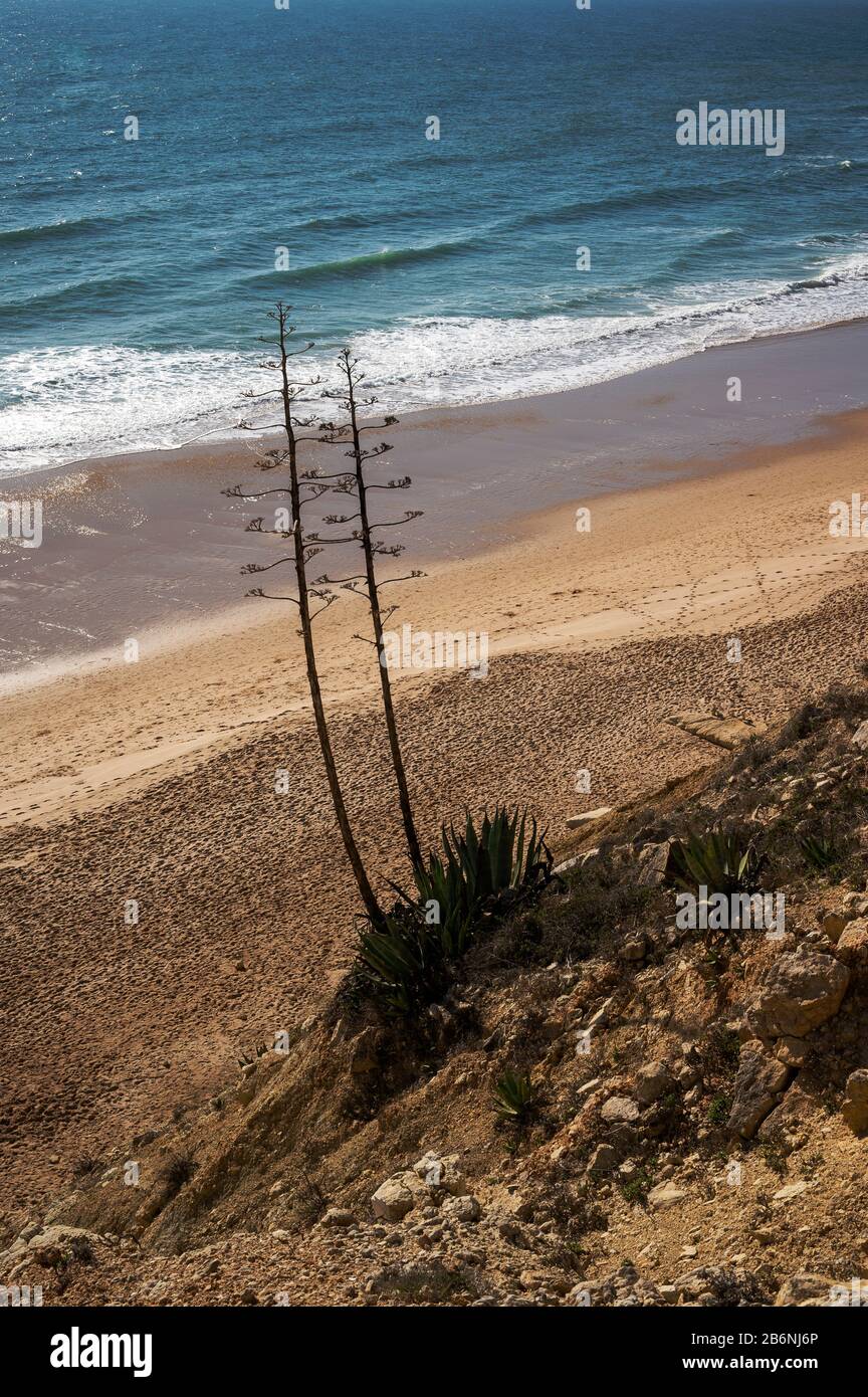 Luz lagos hi-res stock photography and images - Alamy