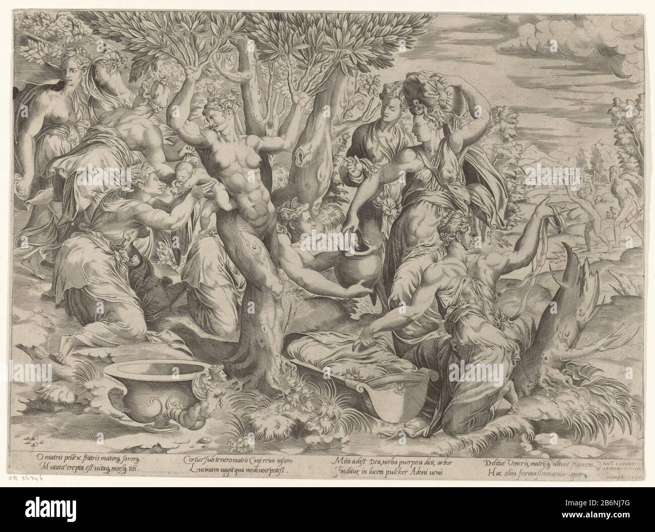 Myrrha and cinyras hi-res stock photography and images - Alamy