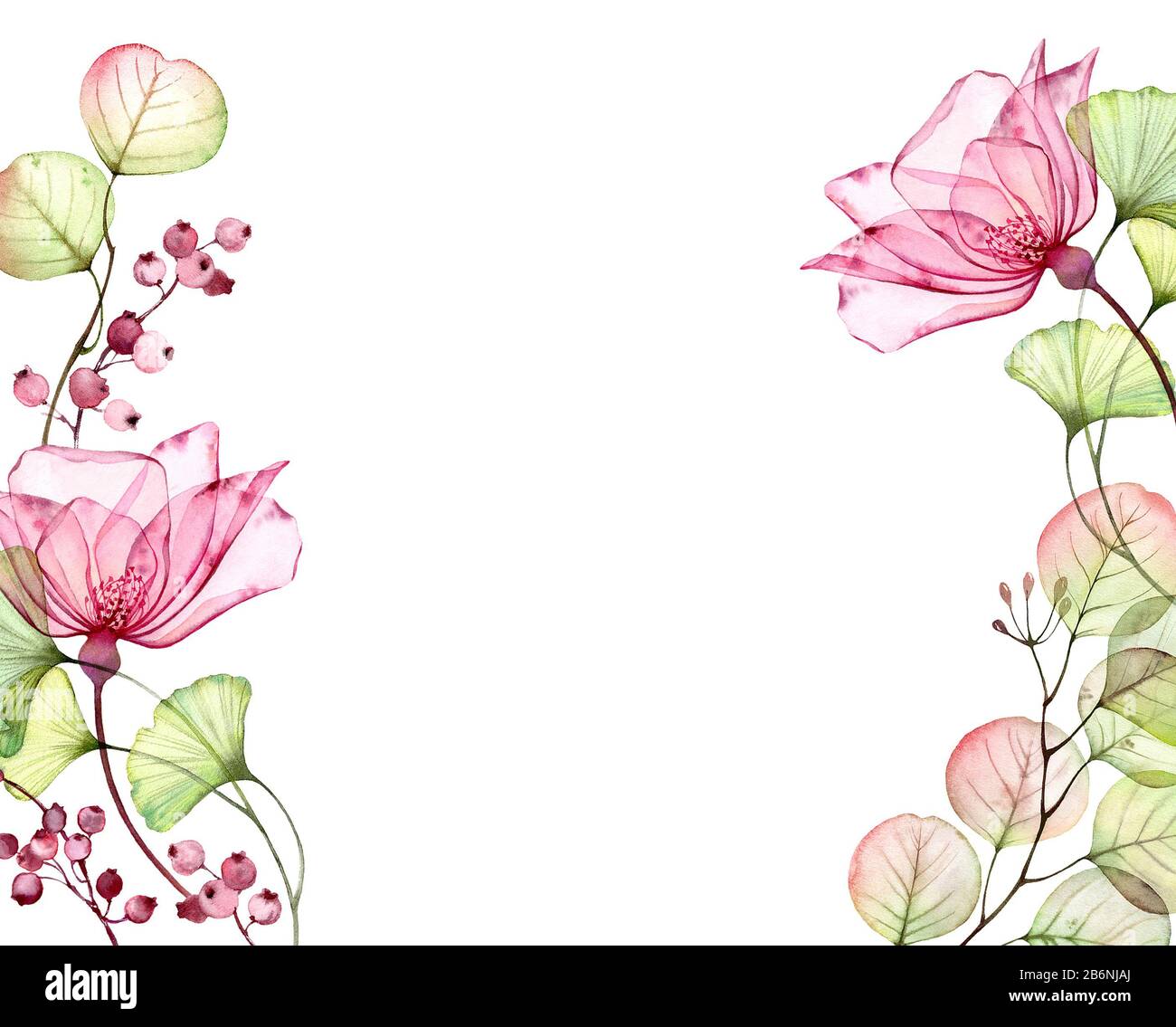 Transparent watercolor rose. Horizontal floral background with place ...