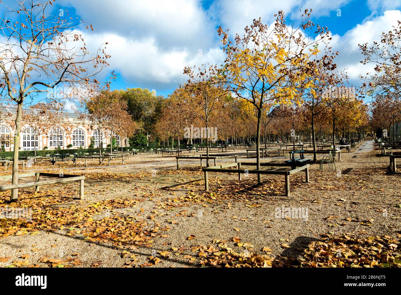 Trees without leaves in Luxembourg gardens during autumn season, Paris ...