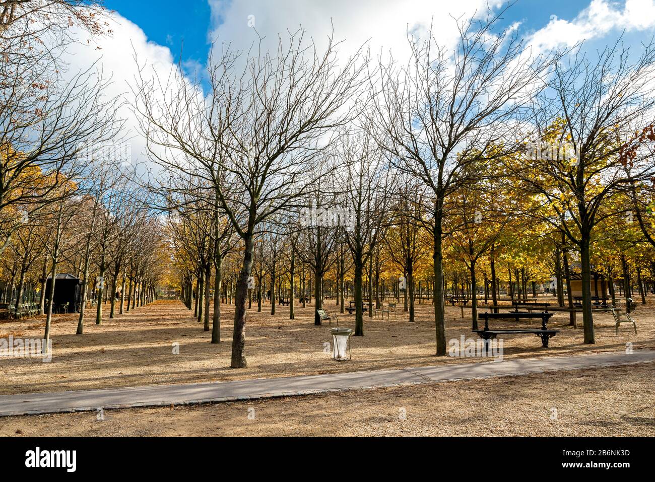 Rows of autumn trees, benches and chairs in Luxembourg gardens in ...