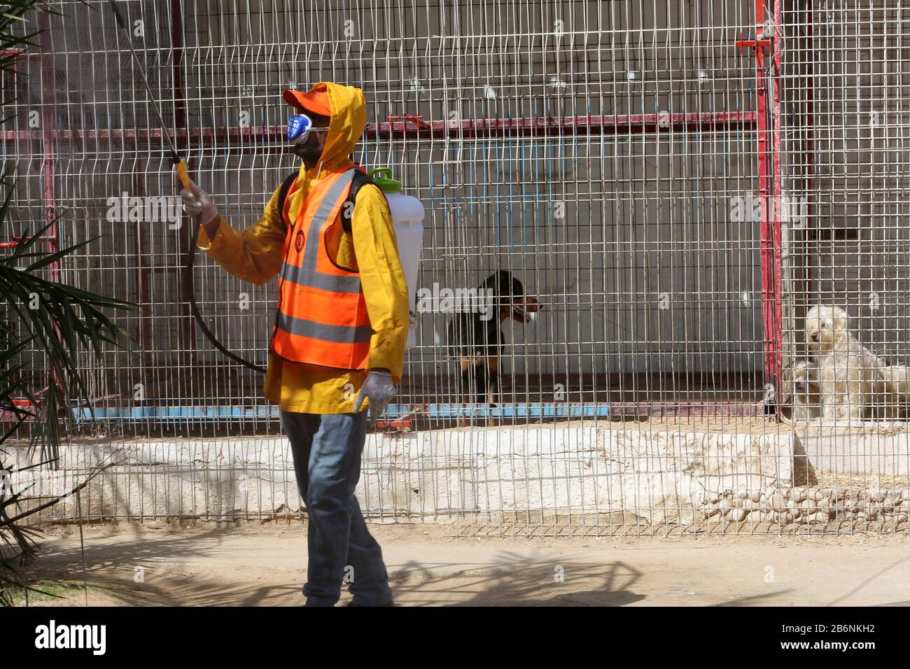 Zoo worker hi-res stock photography and images - Alamy