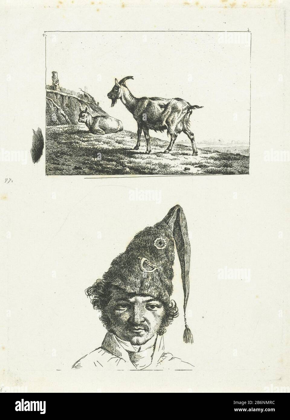 Reclining goat hi-res stock photography and images - Alamy