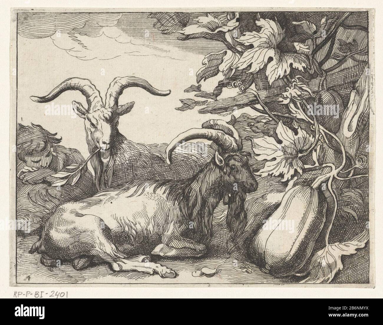 Kalebas hi-res stock photography and images - Alamy