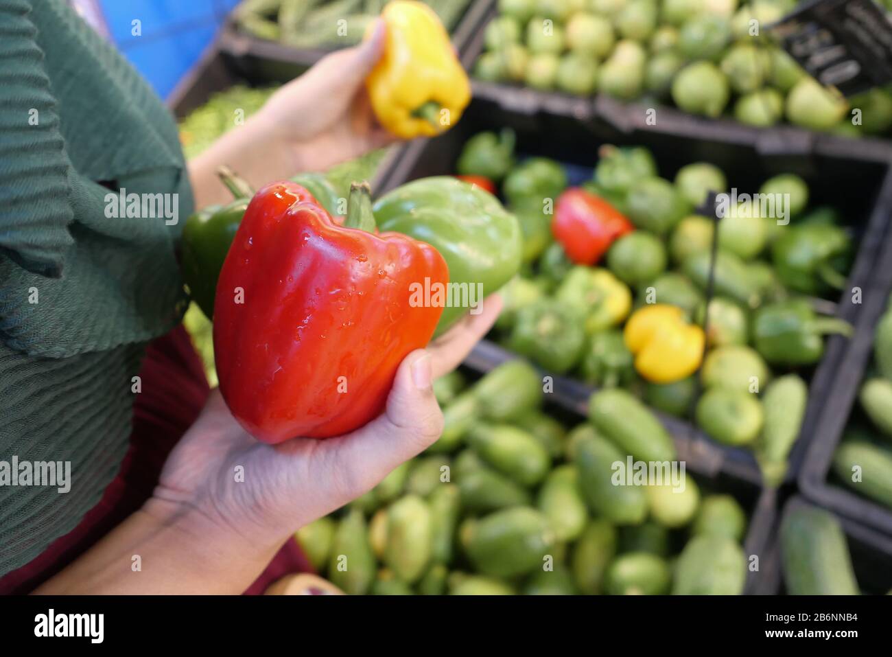 Hand holding capsicum hi-res stock photography and images - Alamy