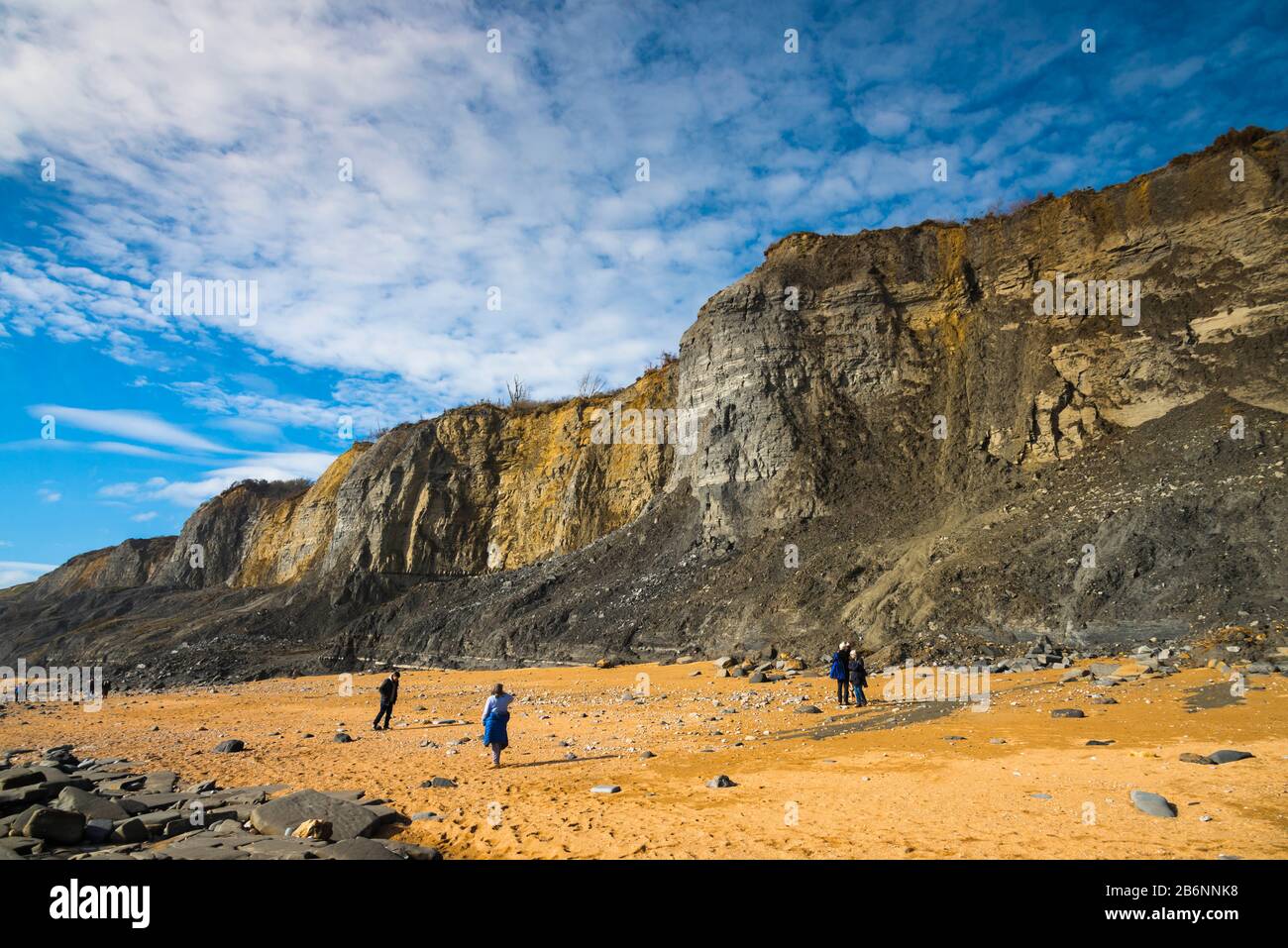 Live fossils hi-res stock photography and images - Alamy
