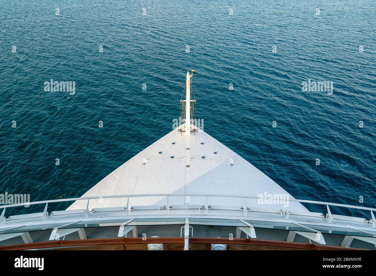 Ship Bug High Resolution Stock Photography and Images - Alamy