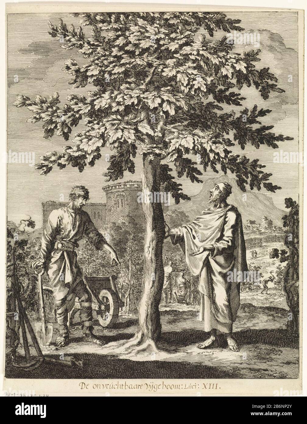 Parable of the barren fig tree hi-res stock photography and images - Alamy