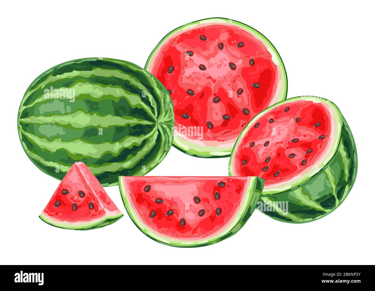 Watermelons delicious fruit Stock Vector Images - Alamy