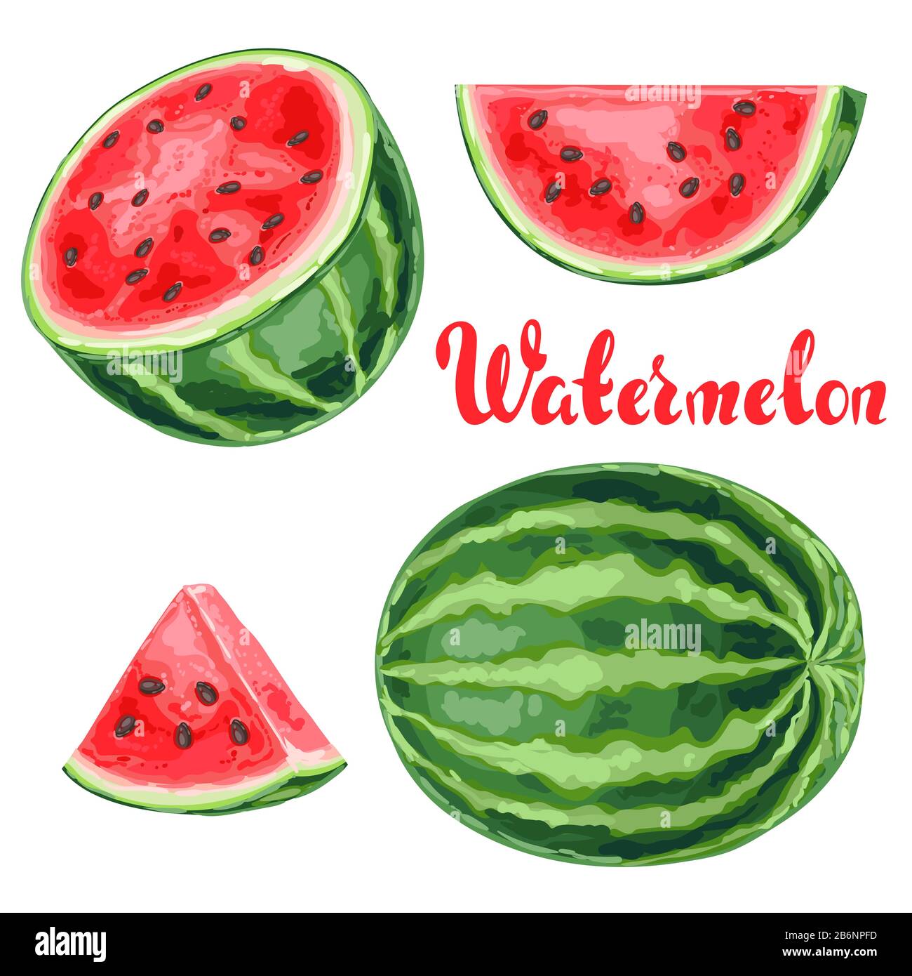 Watermelons fresh delicious fruit Stock Vector Images - Alamy