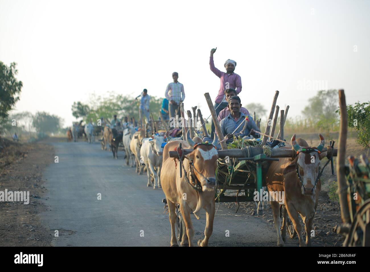 Bull cart hi-res stock photography and images - Alamy