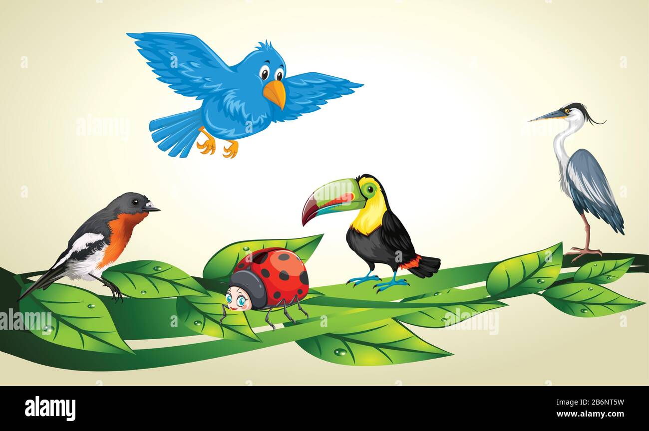 birds are enjoying and playing on tree Stock Vector Image & Art - Alamy