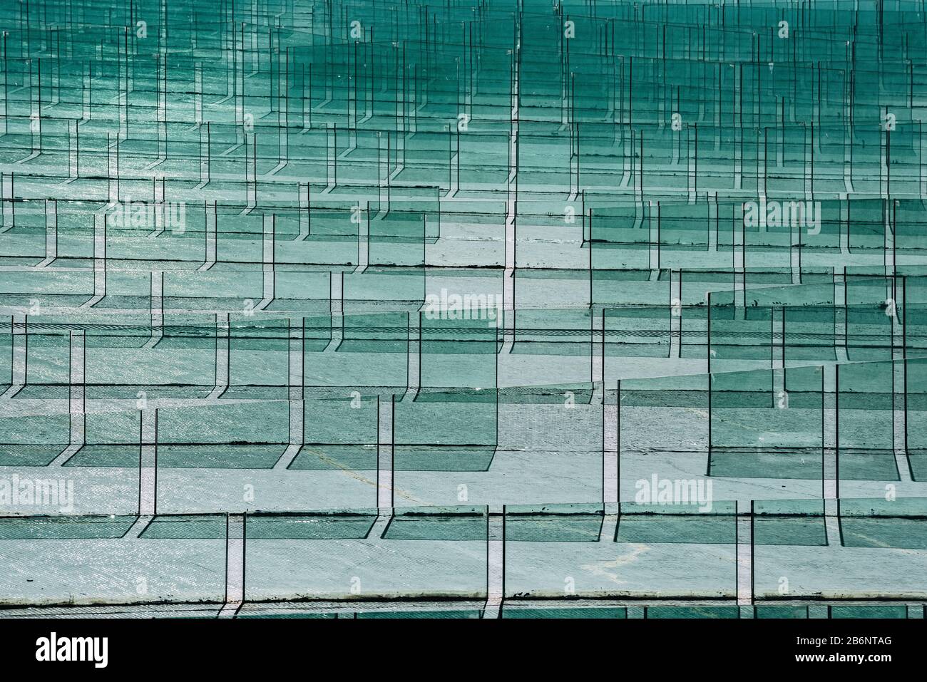 Green Clear Glass Texture