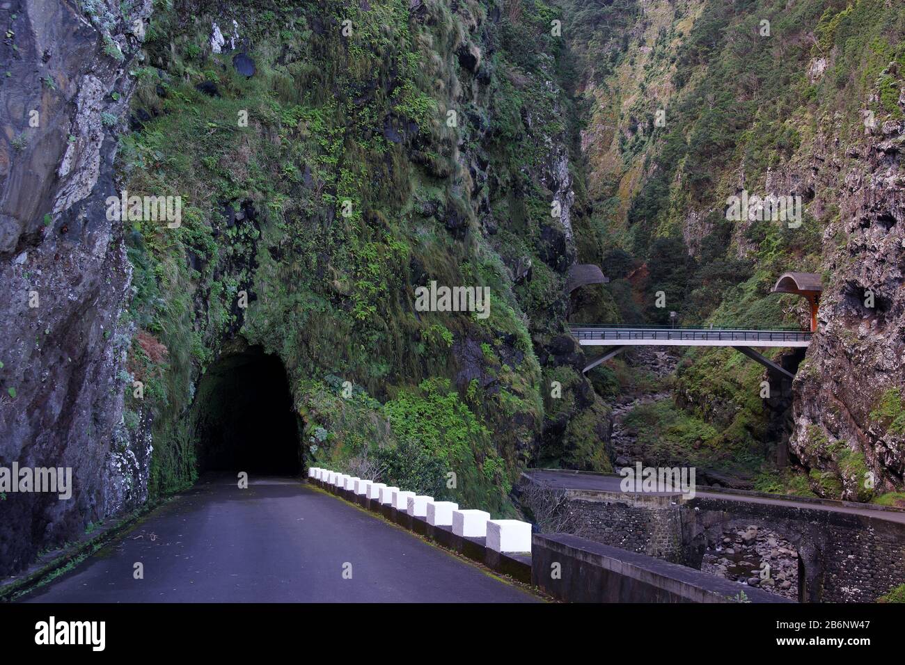 Europa, Portugal, Madeira, Azoren, Inselgruppe, Inseln, Inselstrasse ...