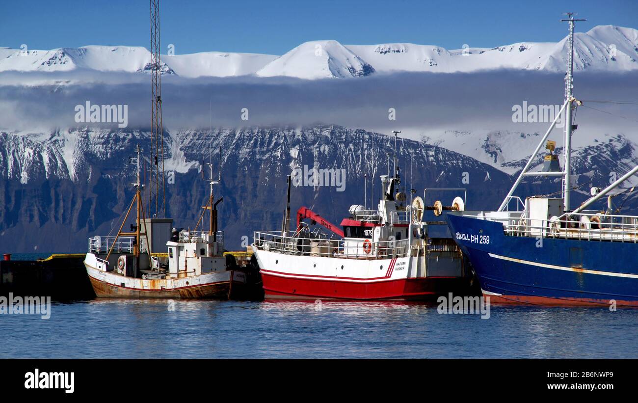 Island, Europa, Hafen von Husavik Stock Photo - Alamy