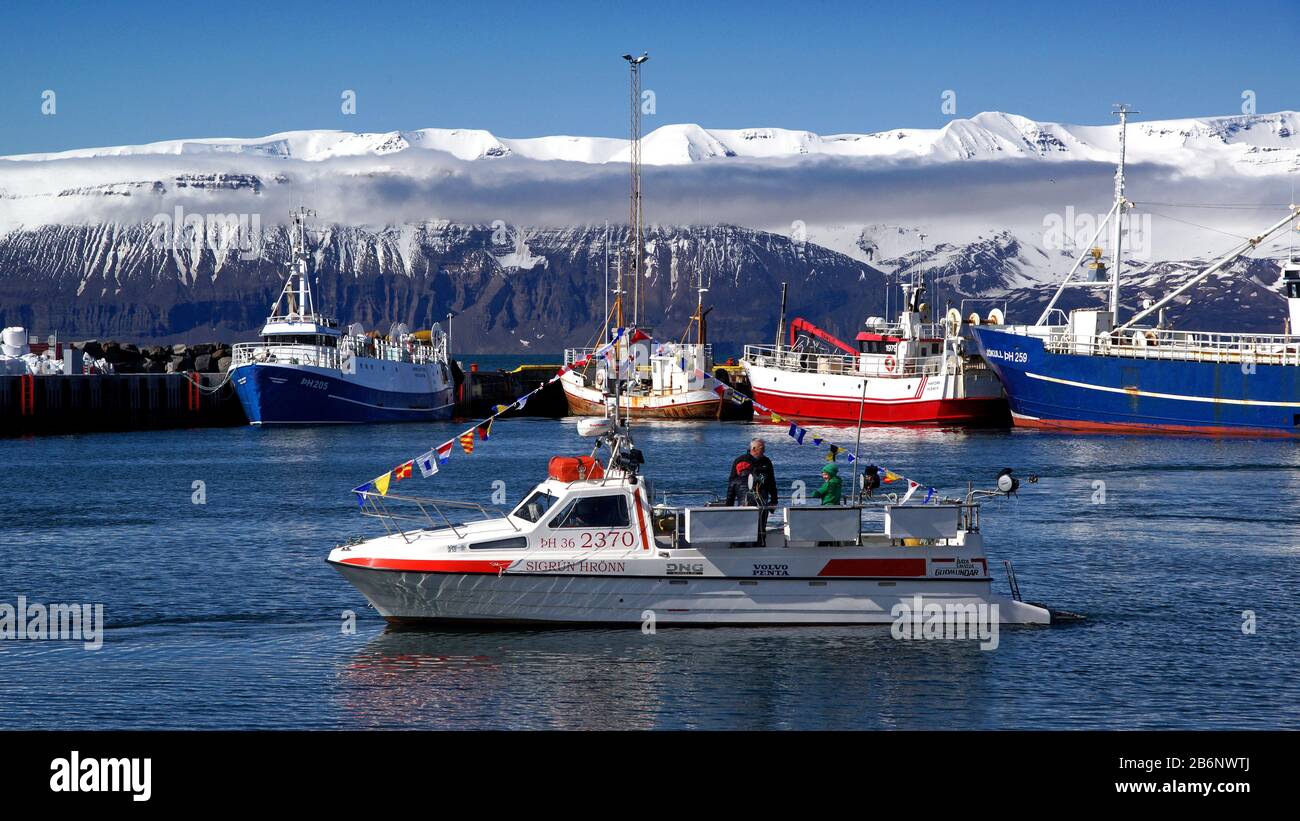 Island, Europa, Hafen von Husavik Stock Photo - Alamy