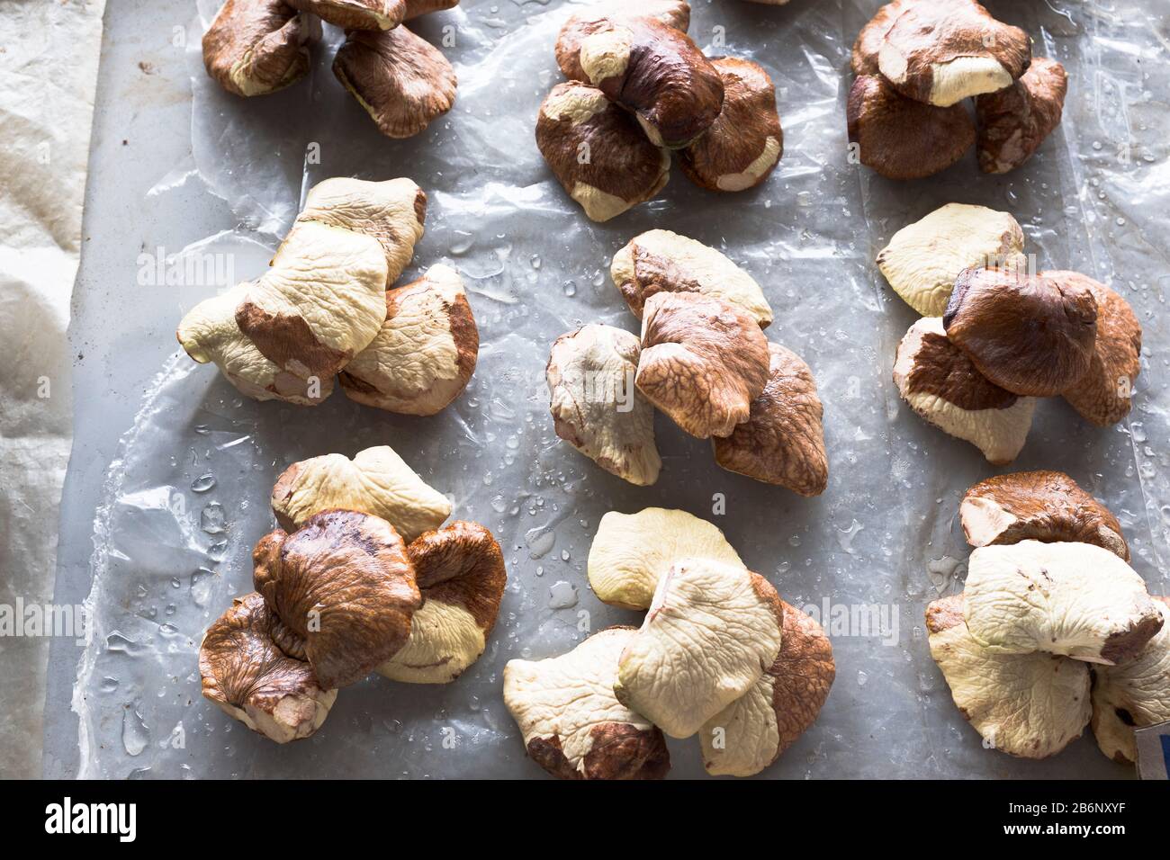 dh PNG Market ALOTAU PAPUA NEW GUINEA Chesnuts markets product display ...