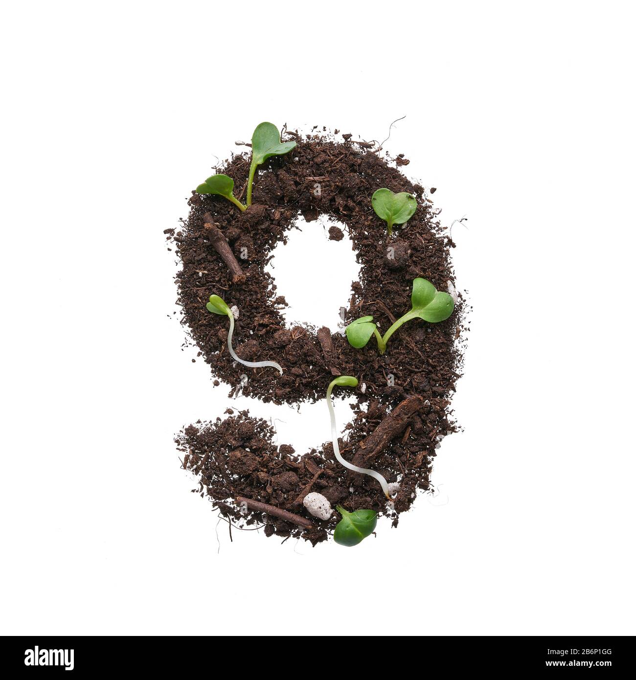 Figures isolated on a white background. A stencil in the shape of a ...