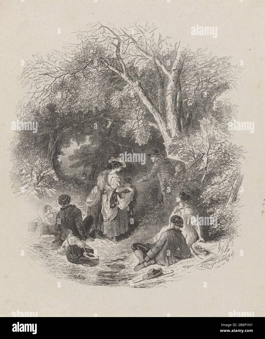 Forest grond hi-res stock photography and images - Alamy