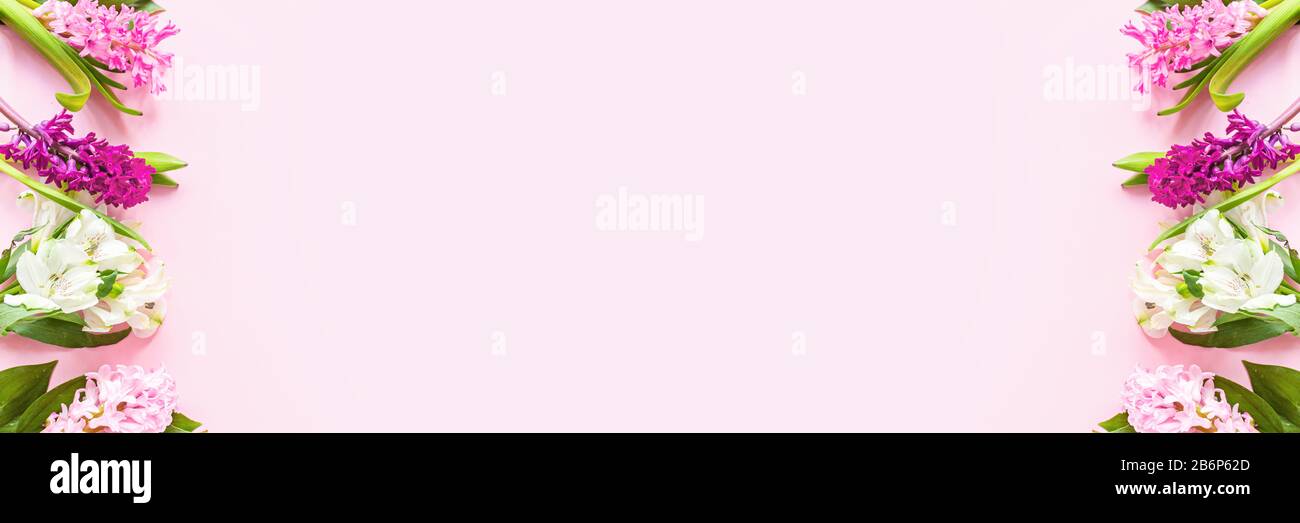 Spring banner with hyacinth flowers on pink pastel background with copy ...