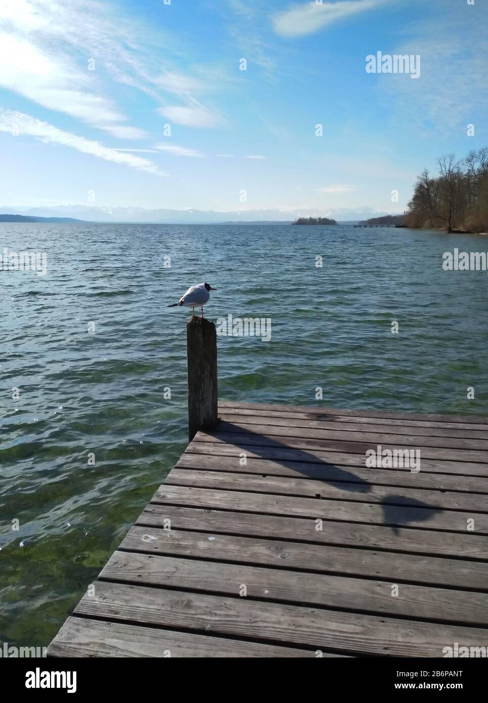 sunny day at lake starnberg Stock Photo - Alamy