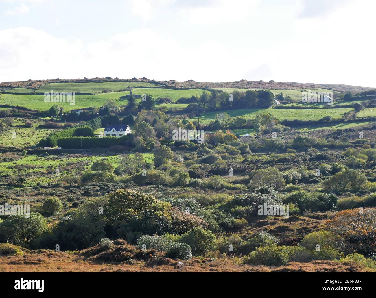 Rural County Cork Countryside, Ireland Stock Photo - Alamy