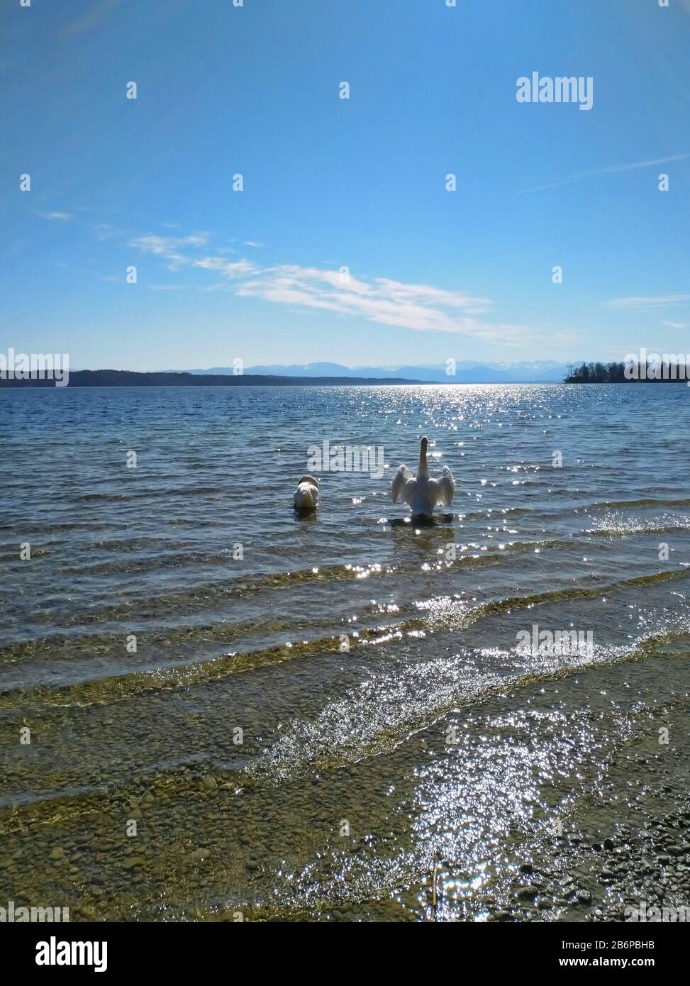 sunny day at lake starnberg Stock Photo - Alamy