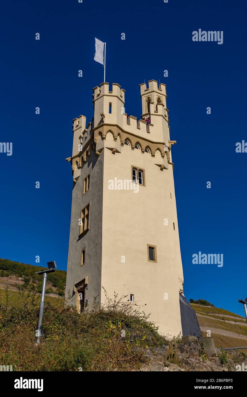 Mauseturm mouse tower and ehrenfels castle hi-res stock photography and ...
