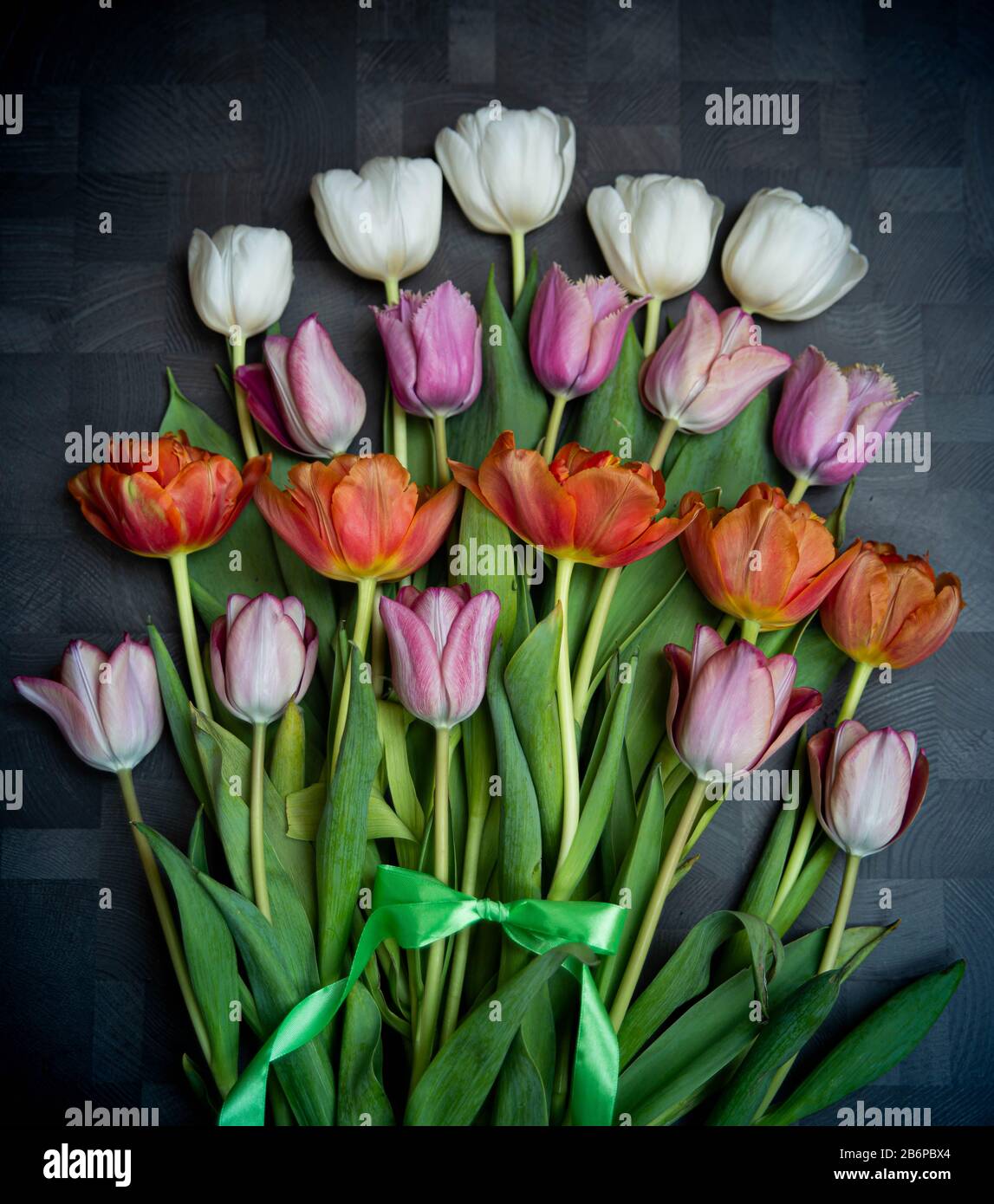 Beautiful different color tulips in frames, mock up or in interior ...