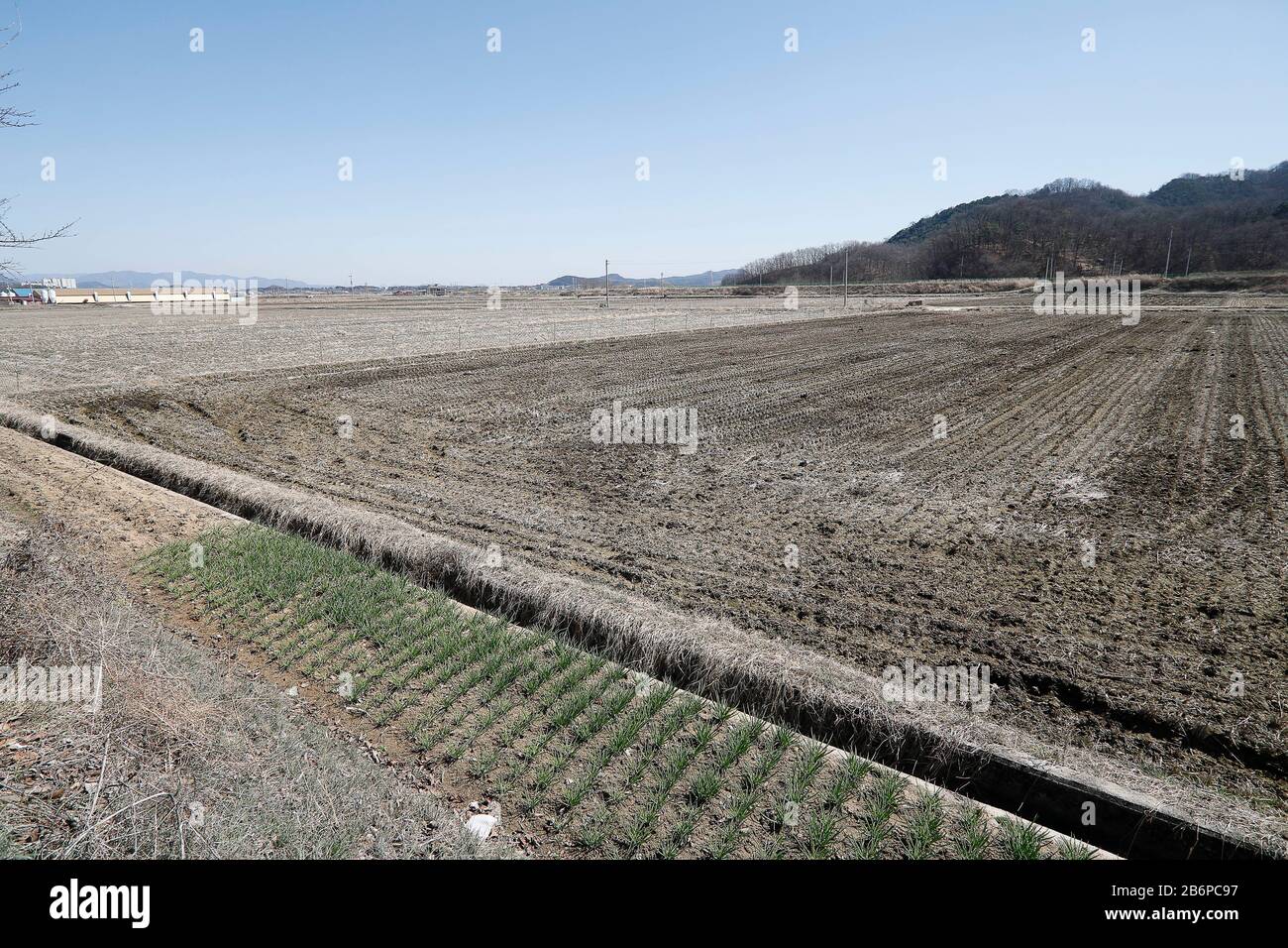 Seoul city farming hi-res stock photography and images - Alamy
