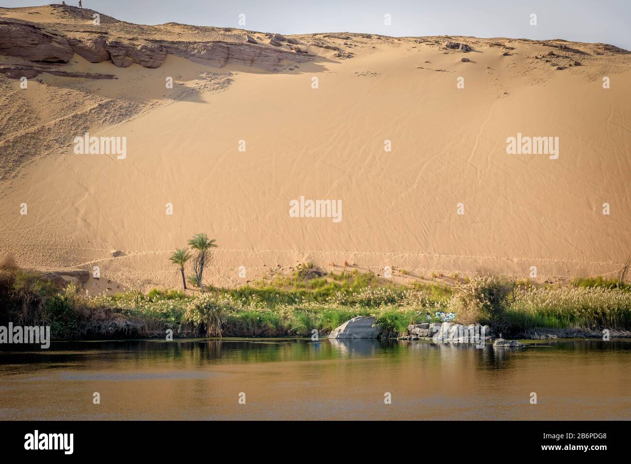Trees aswan hi-res stock photography and images - Alamy