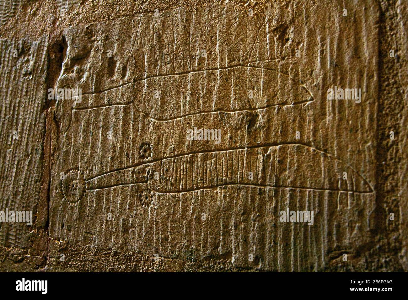 France, Normandy, Falaise, Falaise castle, William the Conqueror ...