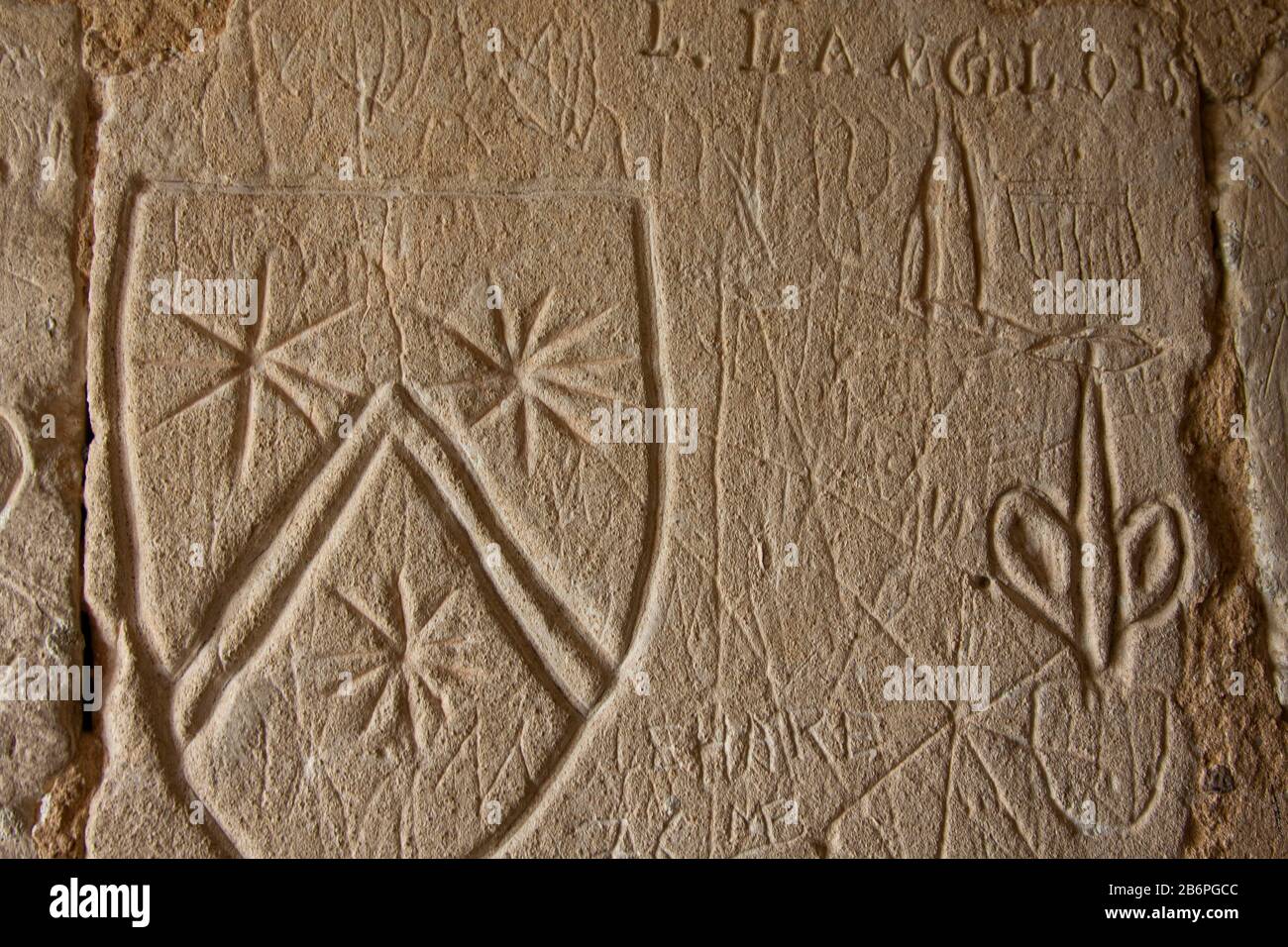 William conqueror shield hi-res stock photography and images - Alamy