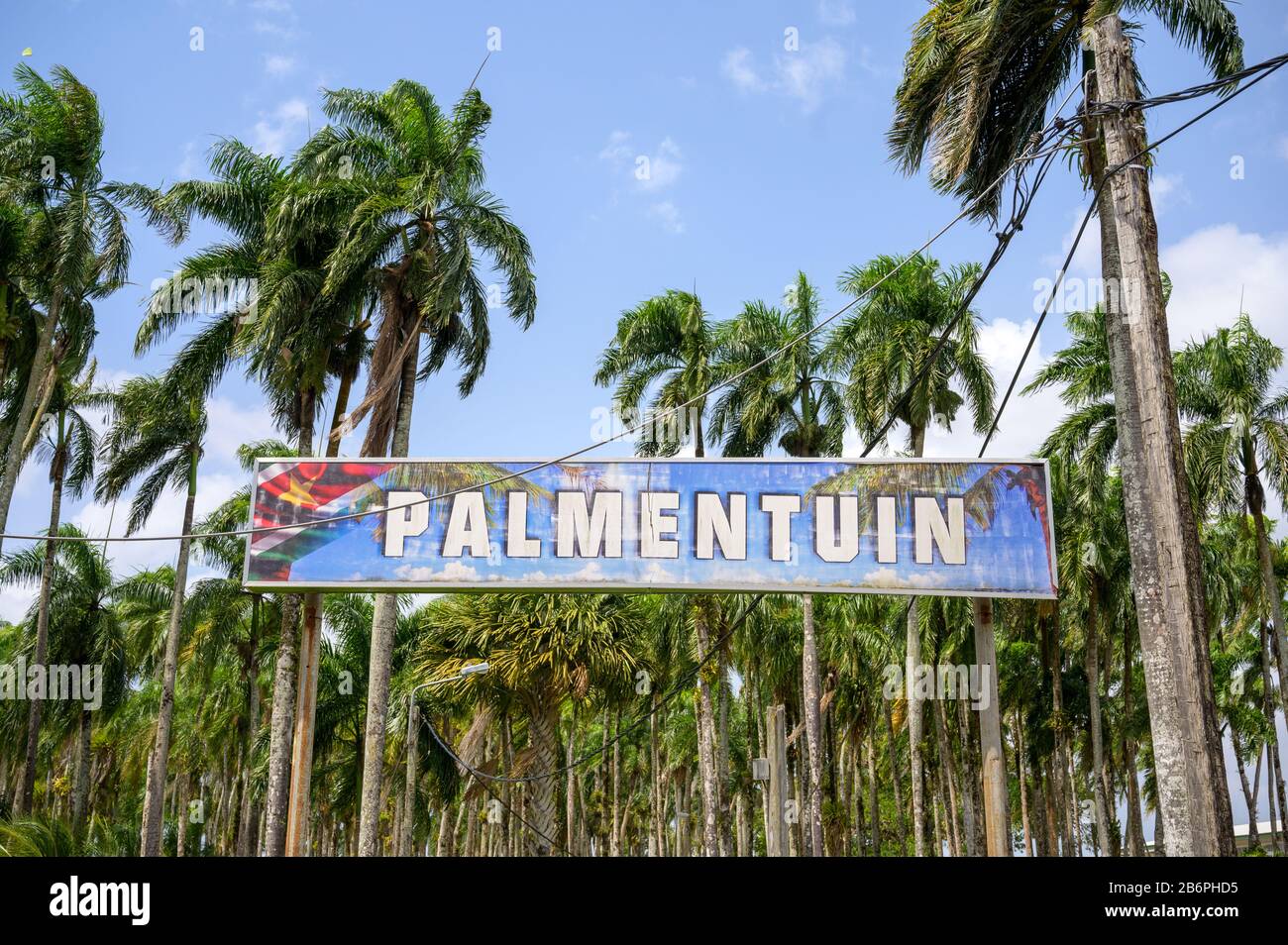 Royal Palm Tree High Resolution Stock Photography and Images - Alamy