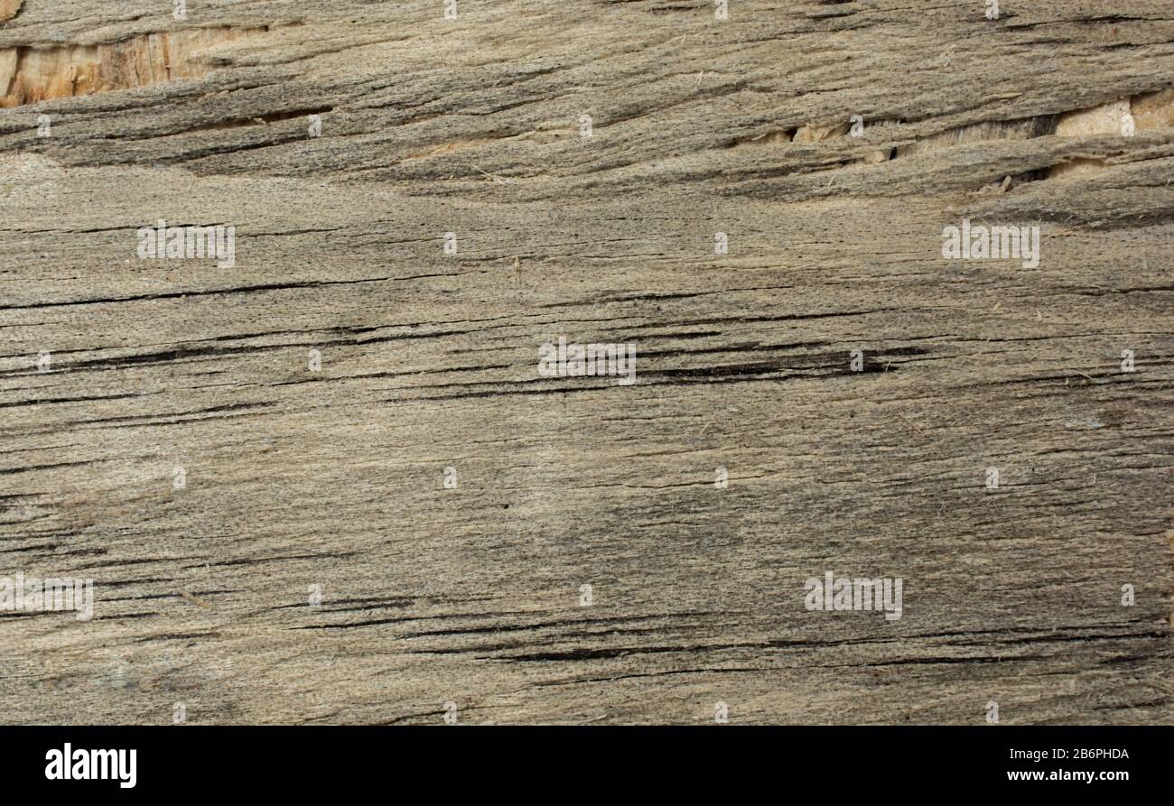 Wooden texture with natural patterns as a background Stock Photo - Alamy